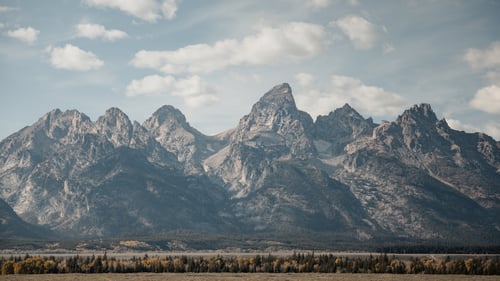 How to Build an Org Chart with Ninety in Five Steps