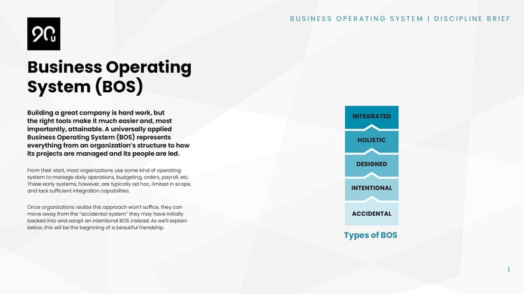 On Business Operating Systems